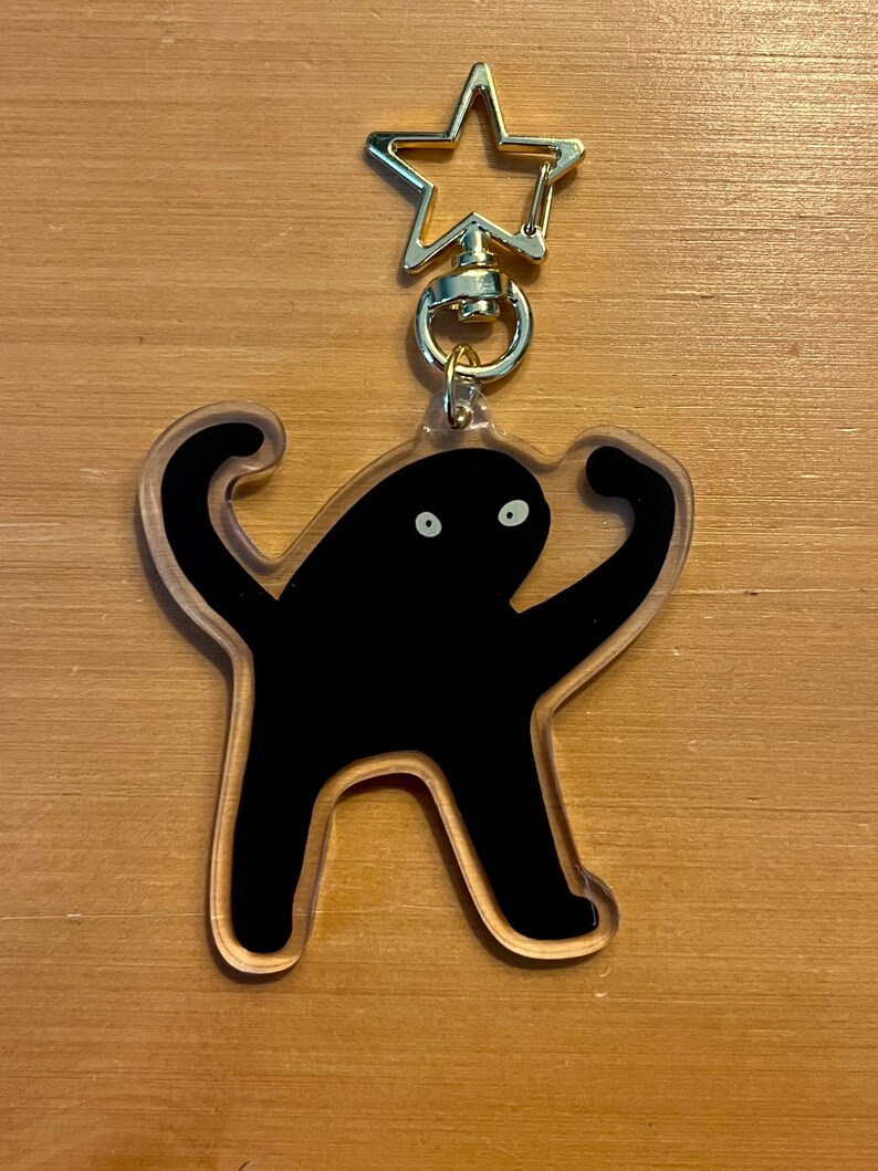 Cursed Cat Double-sided Acrylic Charm Keychain, Funny, Memes - Etsy