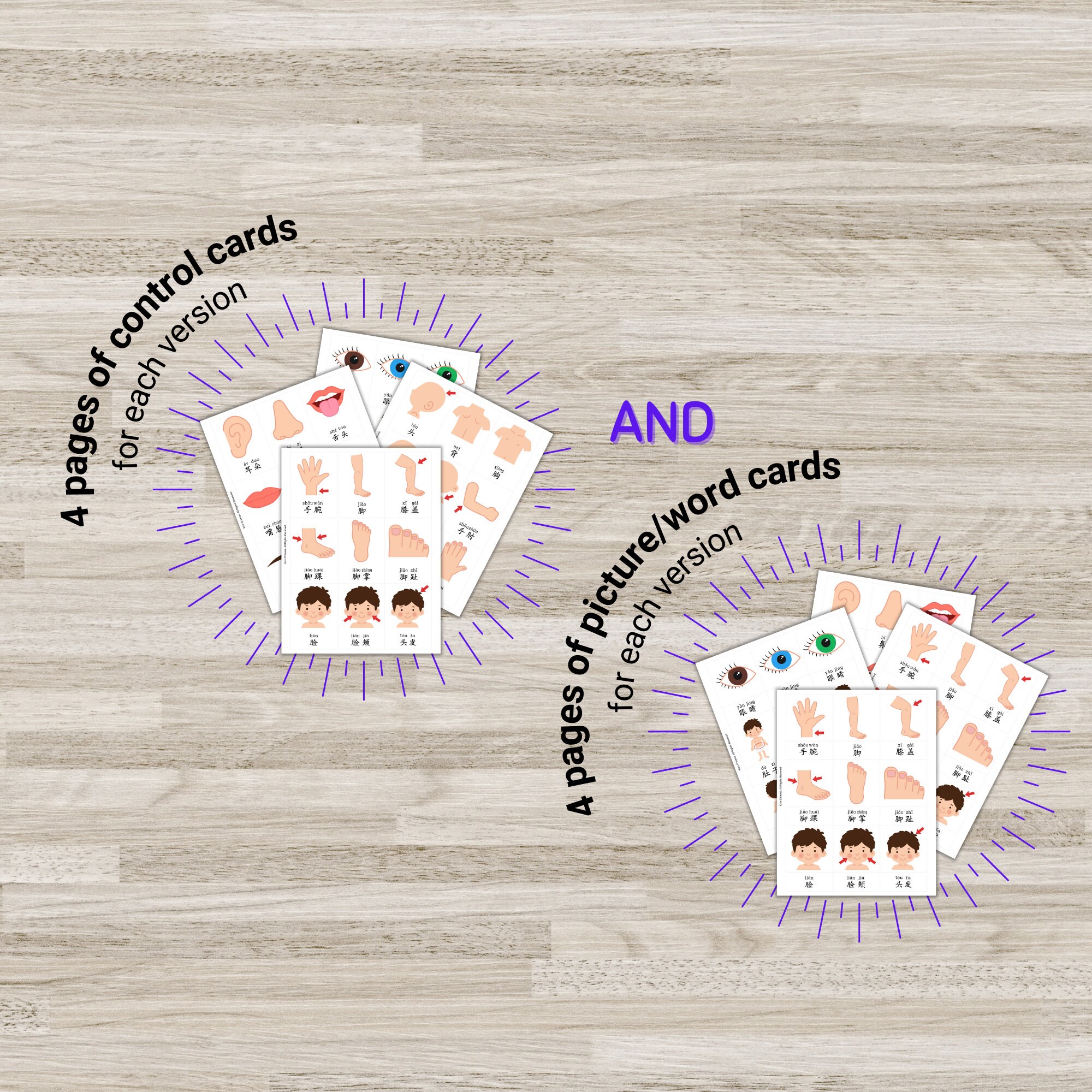 Body Parts Chinese Flashcards, Pinyin Chinese Flash Cards, 3-parts ...