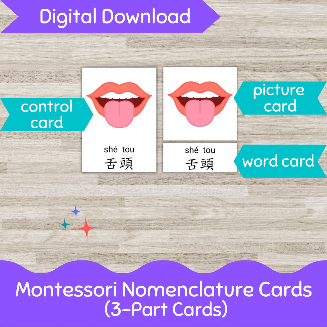 Body Parts Chinese Flashcards, Bopomofo Pinyin Chinese Flash Cards, 3 ...