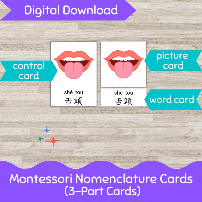 Body Parts Chinese Flashcards, Bopomofo Pinyin Chinese Flash Cards, 3 ...