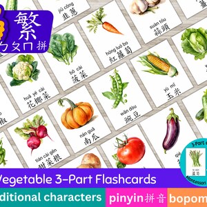 Vegetables Chinese Flashcards, Bopomofo Pinyin Chinese Flash Cards, 3 ...