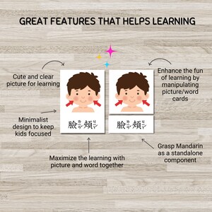 Body Parts Chinese Flashcards, Bopomofo Pinyin Chinese Flash Cards, 3 ...