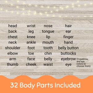 Body Parts Chinese Flashcards, Pinyin Chinese Flash Cards, 3-parts ...