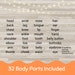 Body Parts Chinese Flashcards, Pinyin Chinese Flash Cards, 3-parts ...