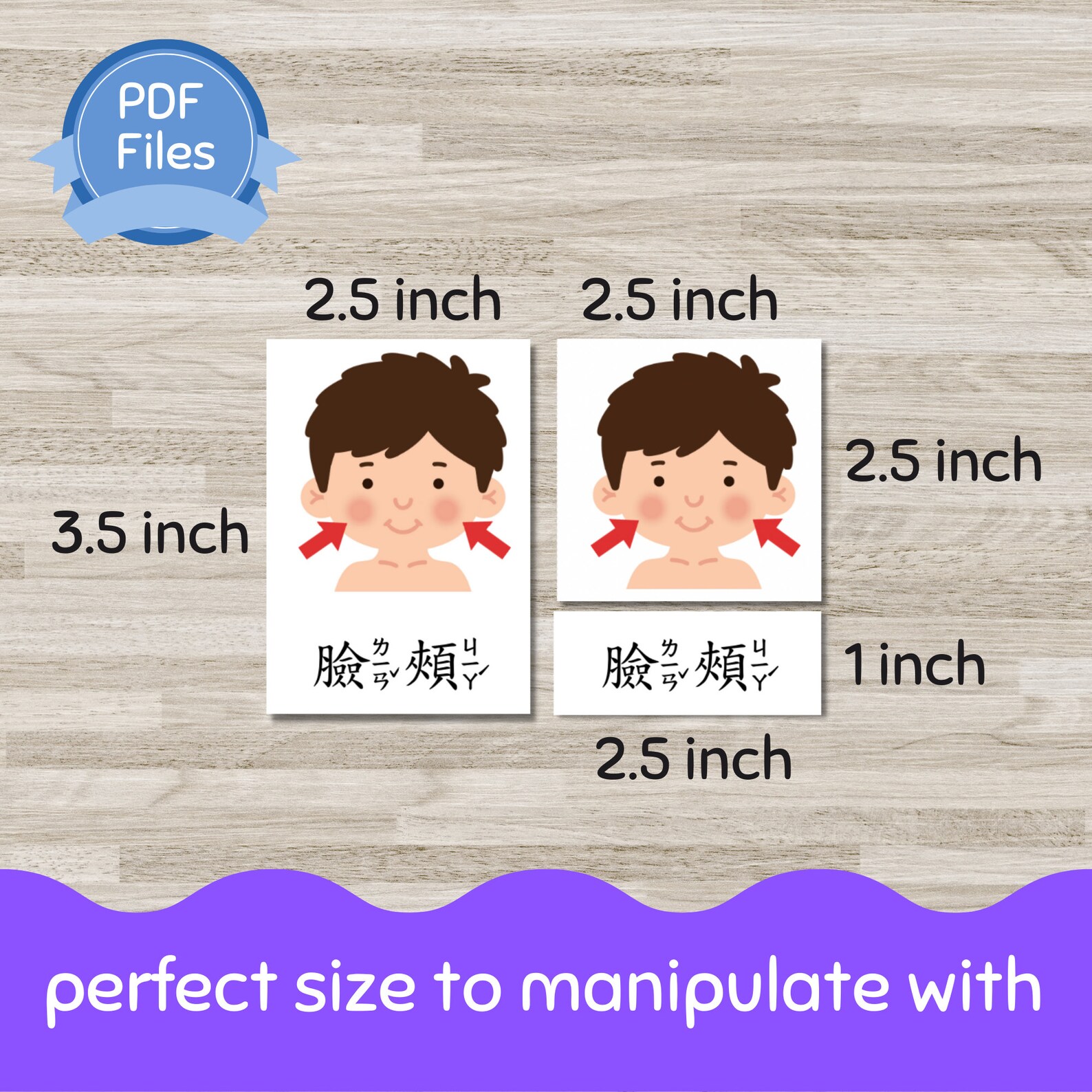 Body Parts Chinese Flashcards, Bopomofo Pinyin Chinese Flash Cards, 3 ...