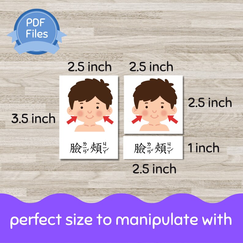 Body Parts Chinese Flashcards, Bopomofo Pinyin Chinese Flash Cards, 3 ...