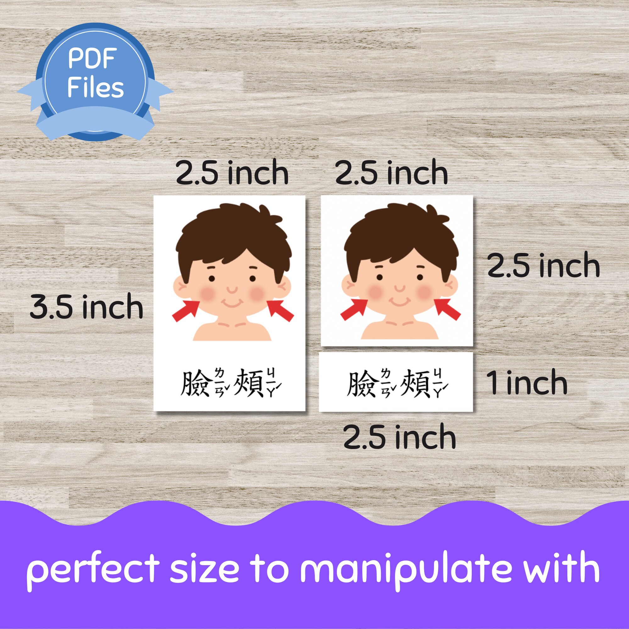 Body Parts Chinese Flashcards, Bopomofo Pinyin Chinese Flash Cards, 3 ...