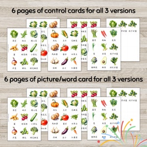 Vegetables Chinese Flashcards, Bopomofo Pinyin Chinese Flash Cards, 3 ...
