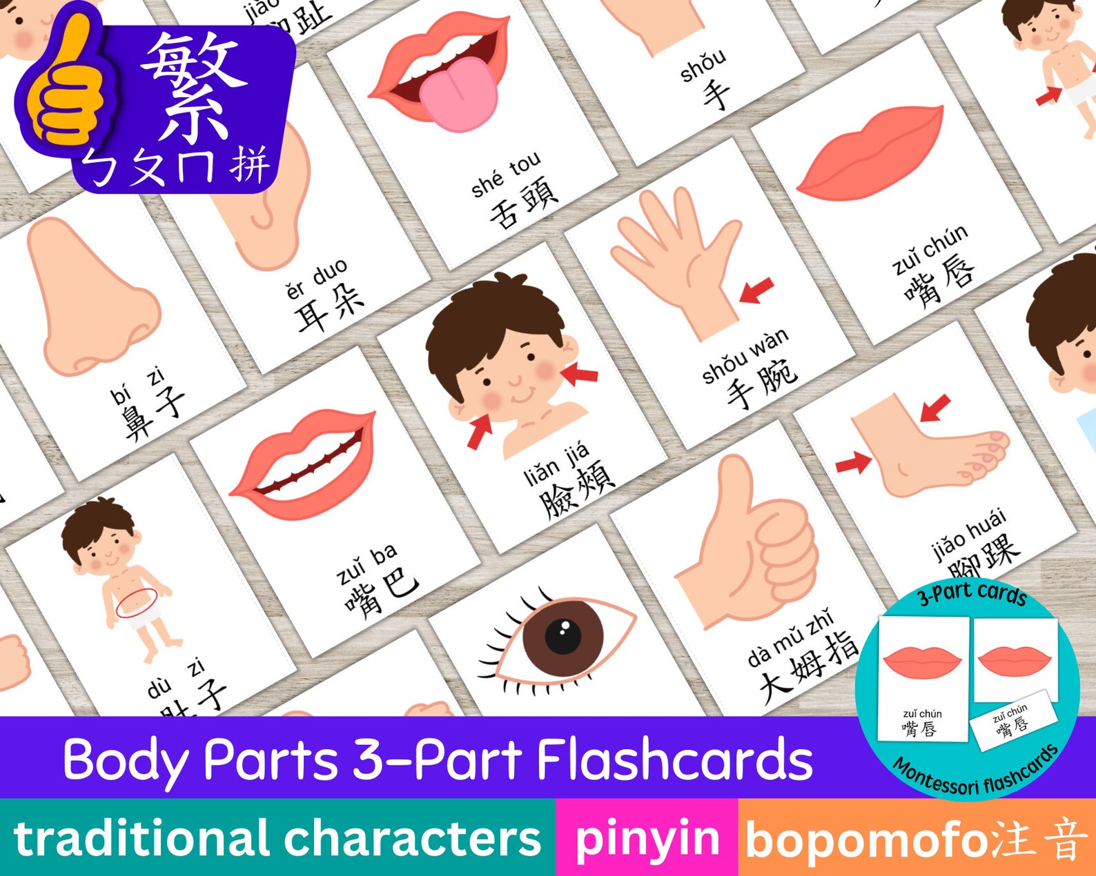 Body Parts Chinese Flashcards, Bopomofo Pinyin Chinese Flash Cards, 3 ...
