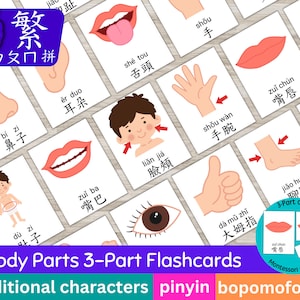 Body Parts Chinese Flashcards, Bopomofo Pinyin Chinese Flash Cards, 3 ...