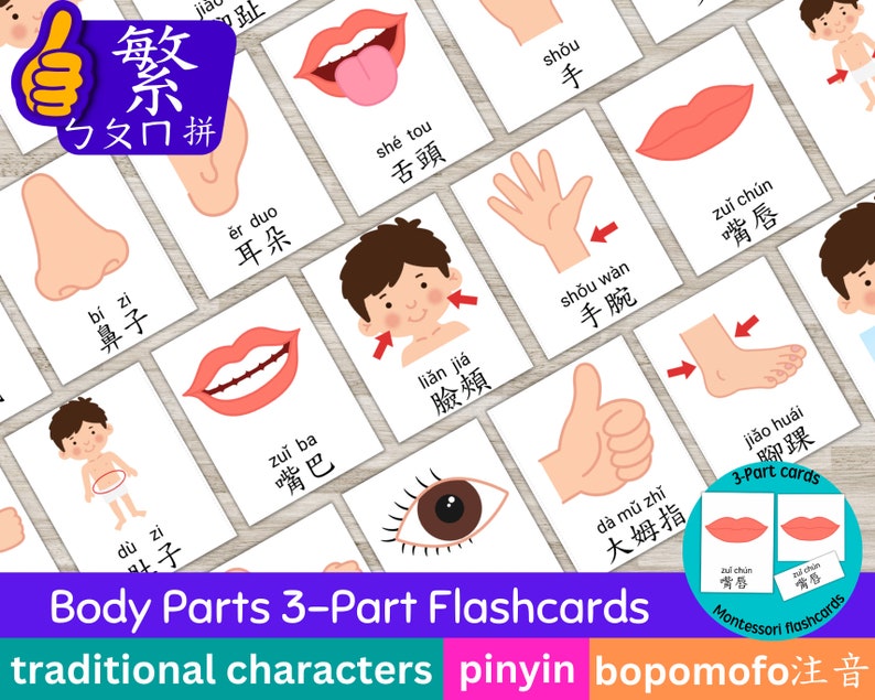 Body Parts Chinese Flashcards, Bopomofo Pinyin Chinese Flash Cards, 3 ...