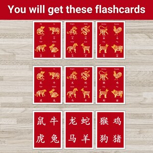 Chinese Zodiac Pinyin Flashcards, Chinese New Year, Chinese for Kids ...