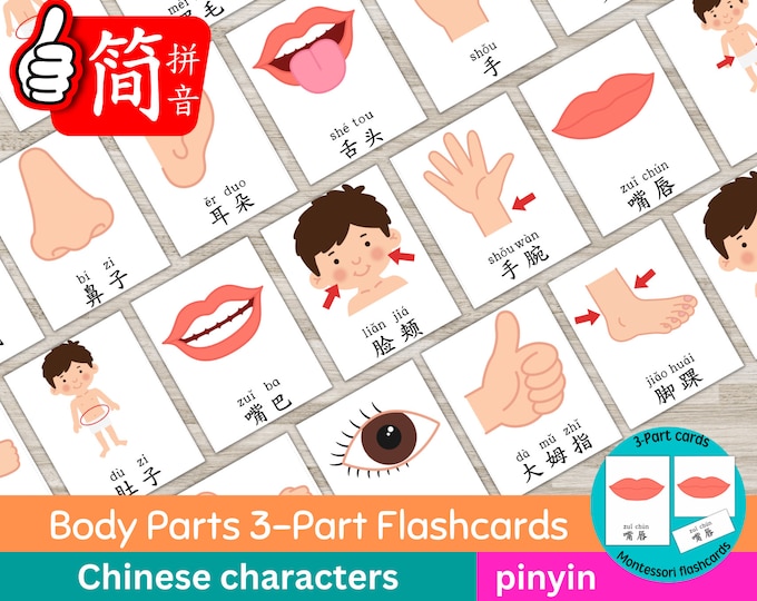 Body Parts Chinese Flash Cards | Printable Mandarin Head Flash Cards ...