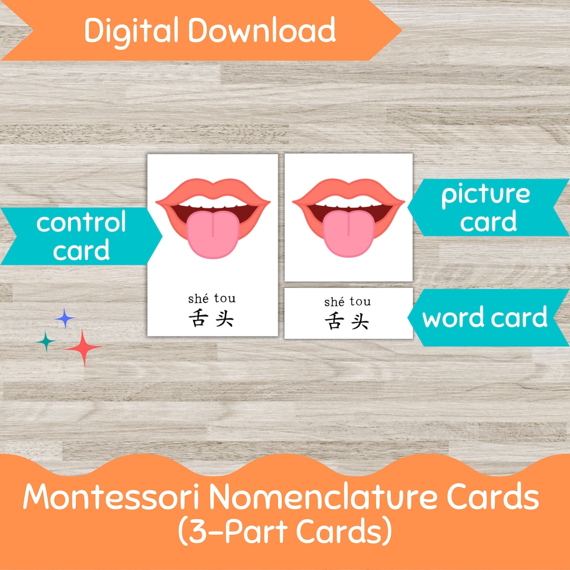 Body Parts Chinese Flashcards, Pinyin Chinese Flash Cards, 3-parts ...