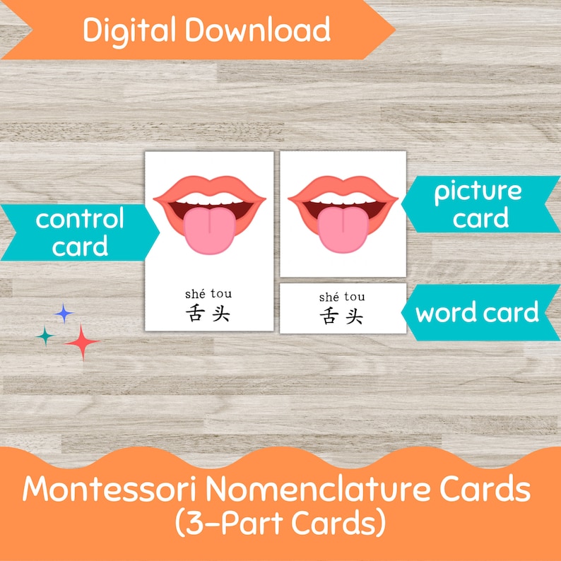 Body Parts Chinese Flashcards, Pinyin Chinese Flash Cards, 3-parts ...