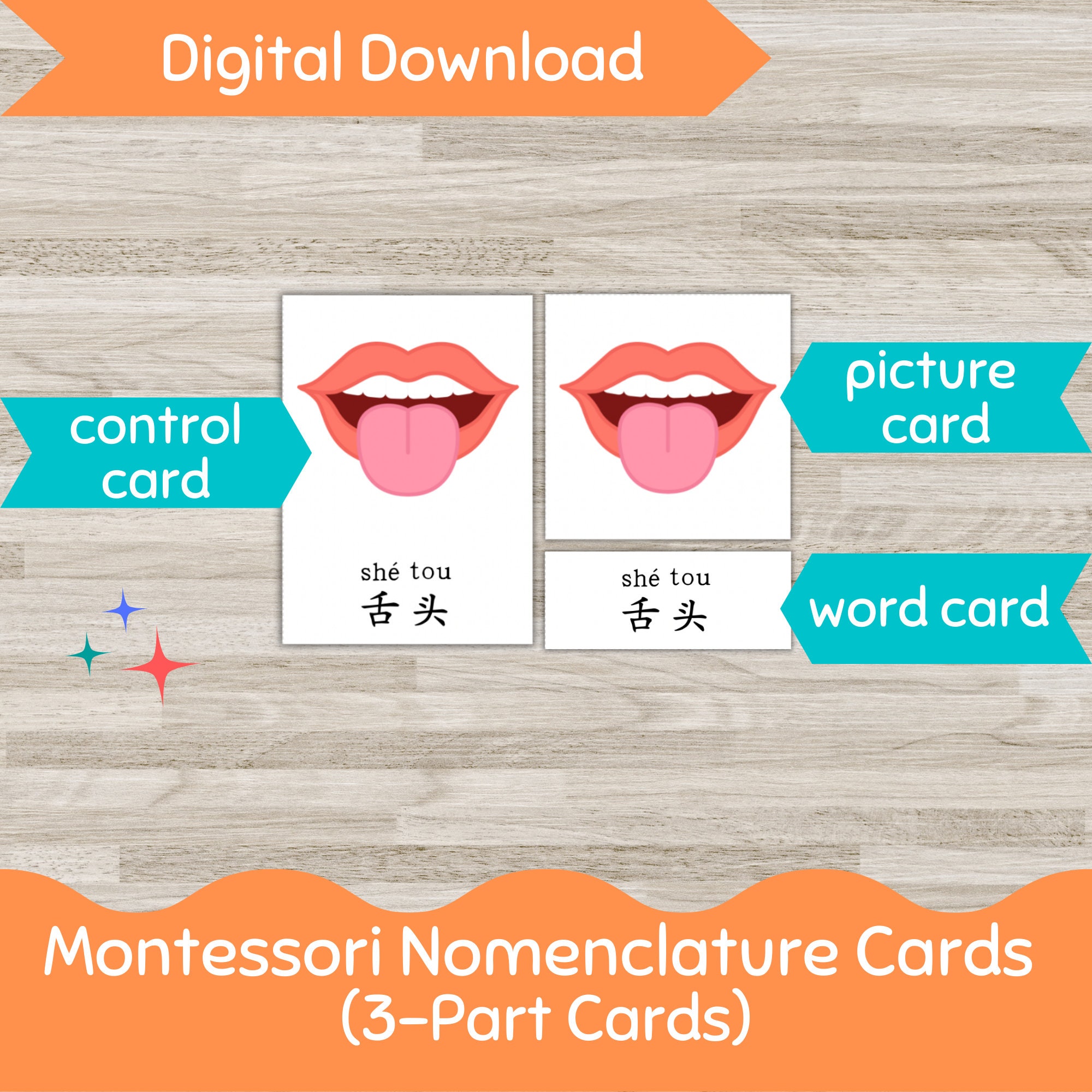 Body Parts Chinese Flashcards, Pinyin Chinese Flash Cards, 3-parts ...