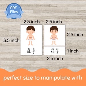 Body Parts Chinese Flashcards, Pinyin Chinese Flash Cards, 3-parts ...
