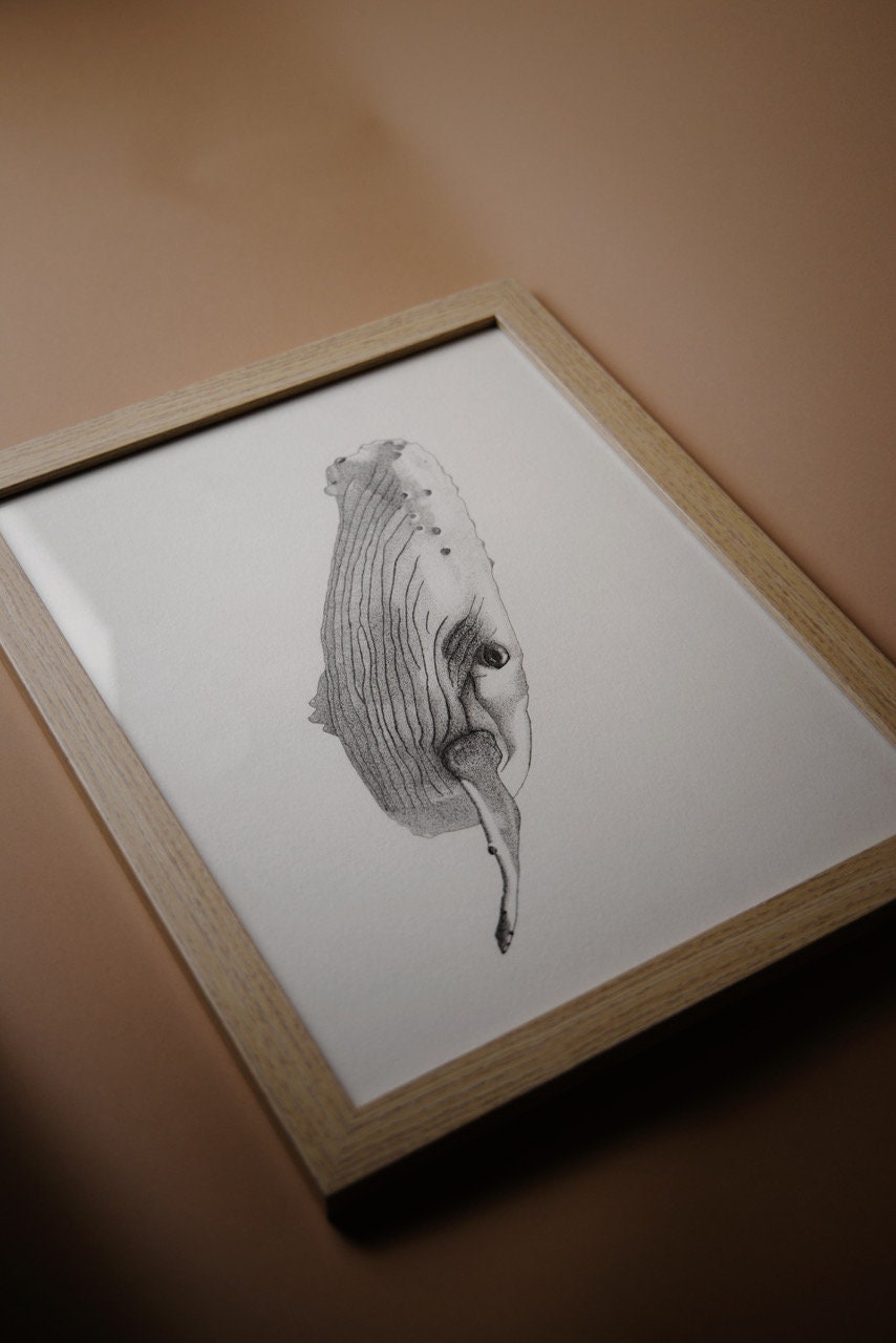 Blue Whale- Black & White Stippling Art Work Digital Download - Etsy