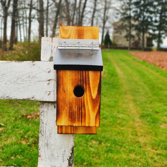 Bluebird House color Selection | Etsy