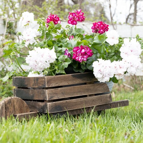 Rustic Decorative Wheelbarrow Planter - Etsy