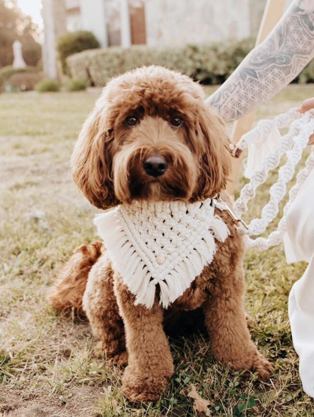 Handmade Macrame Dog Bandana: Boho Wedding Pet Collar - Etsy
