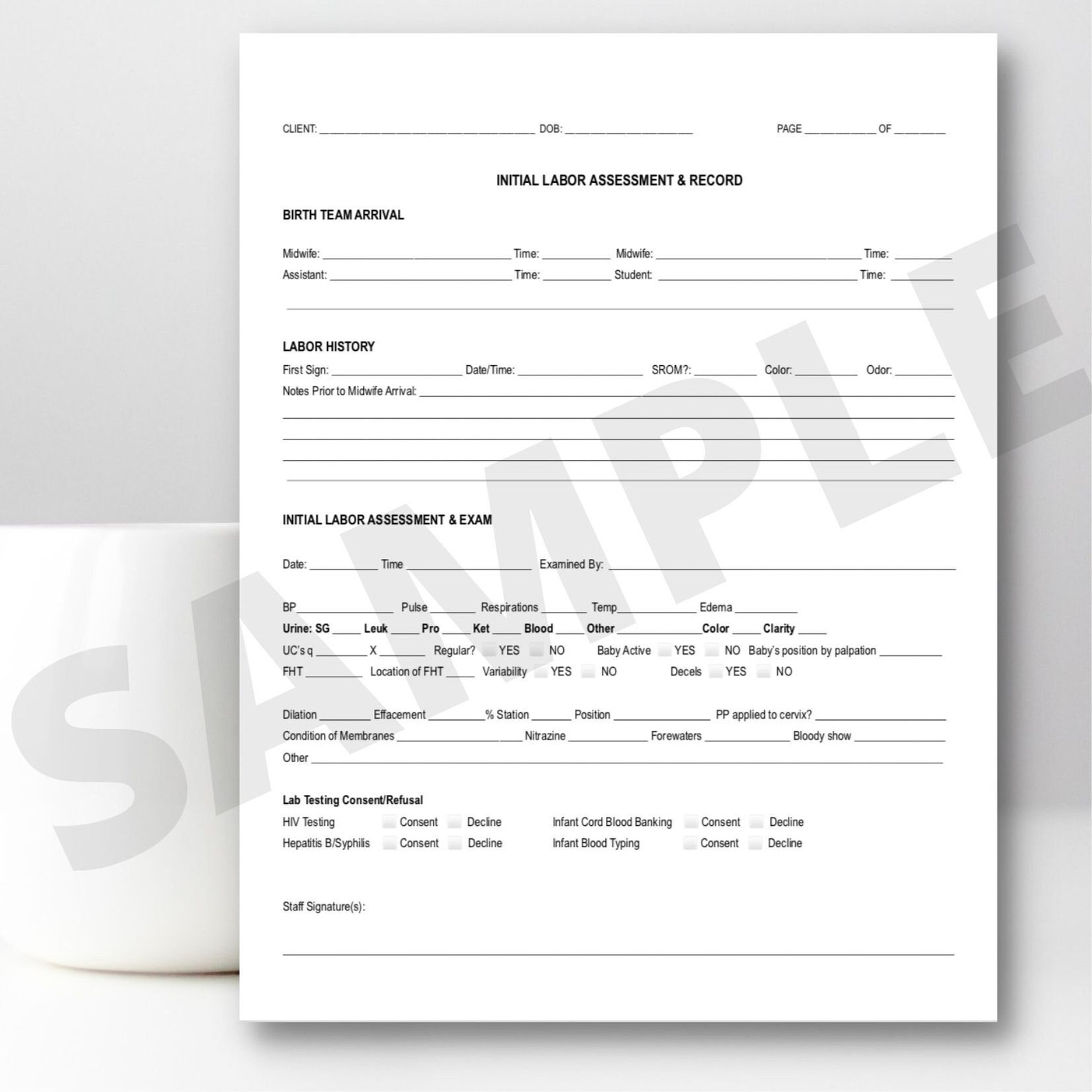 Midwife Client Labor Intake Paperwork | Printable PDF for Midwifery ...