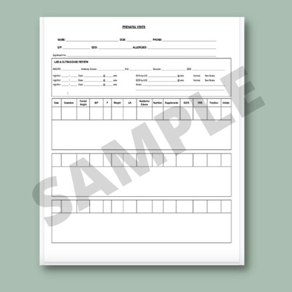 Prenatal Records Patient Chart - Etsy