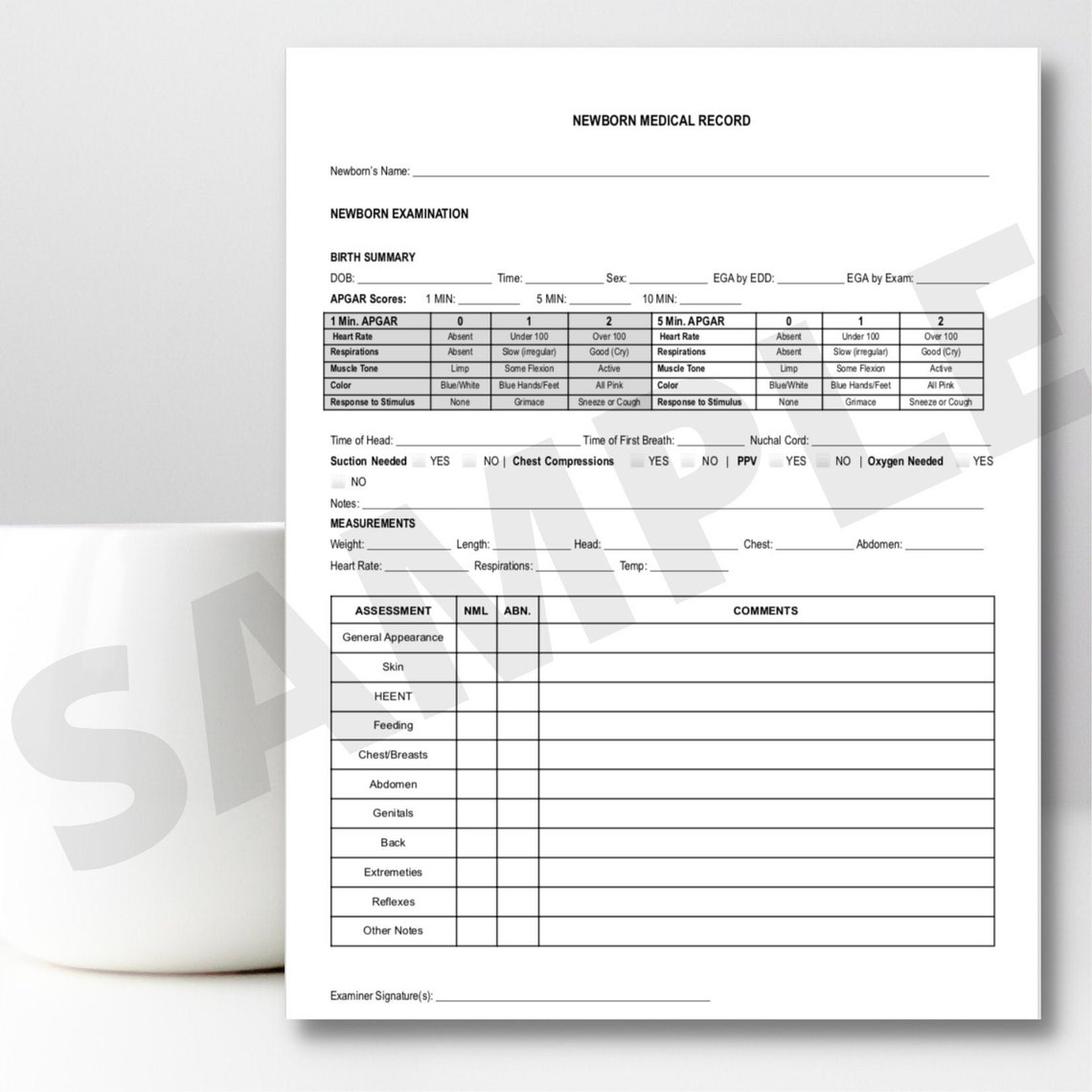 Midwife Client NEWBORN Paperwork | Printable PDF for Midwifery ...