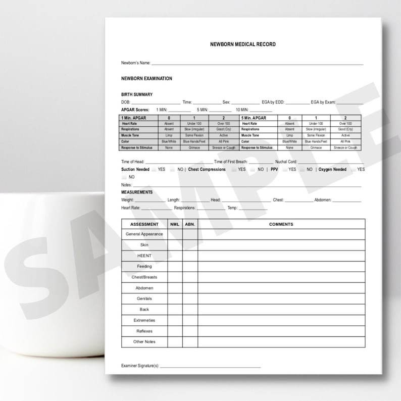 Midwife Client NEWBORN Paperwork | Printable PDF for Midwifery ...
