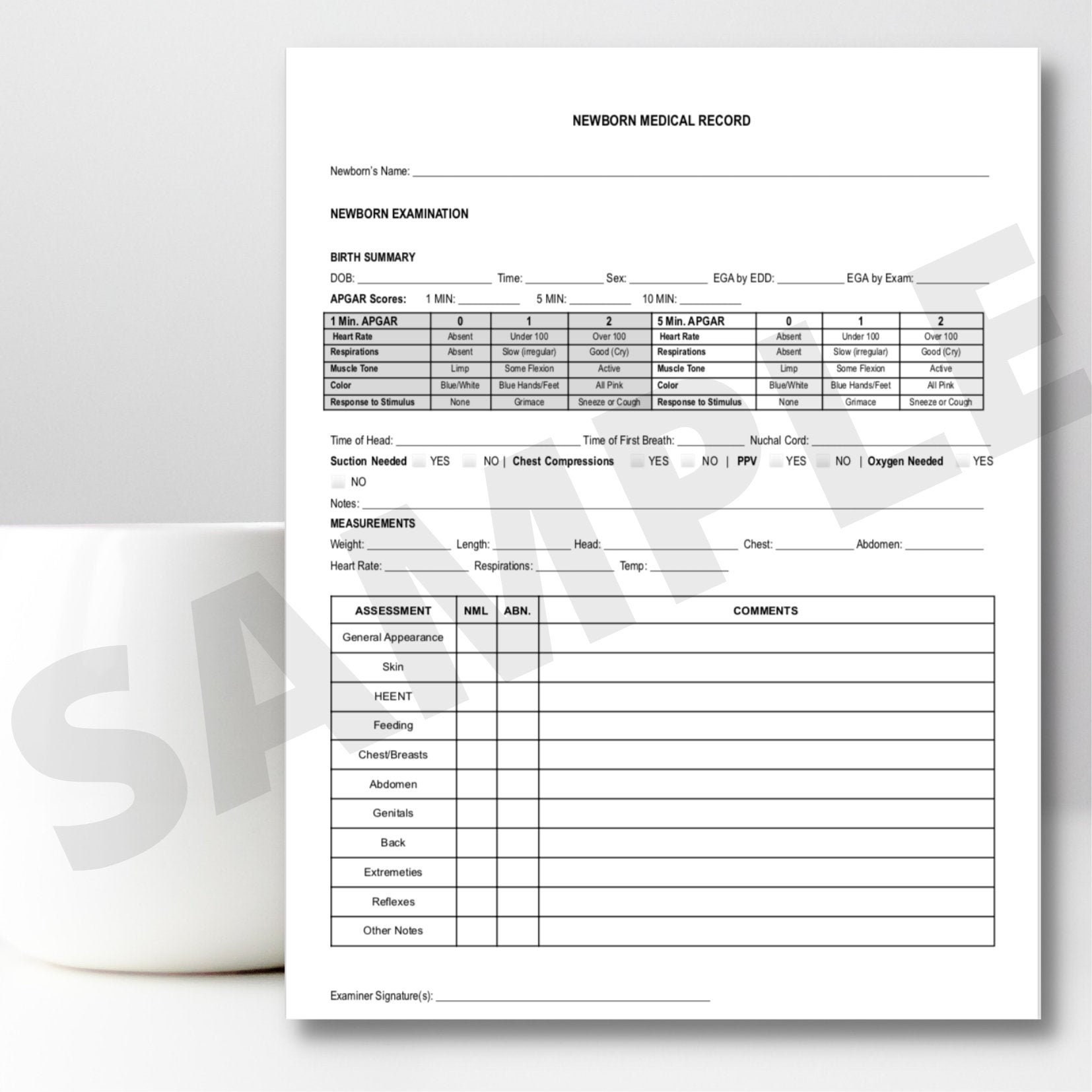 Midwife Client NEWBORN Paperwork | Printable PDF for Midwifery ...
