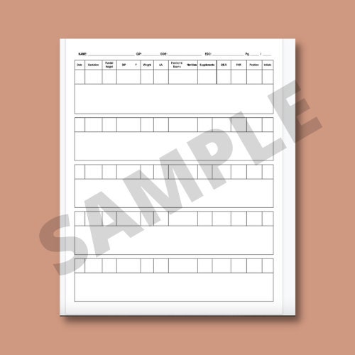 Prenatal Records, Patient Chart - Etsy