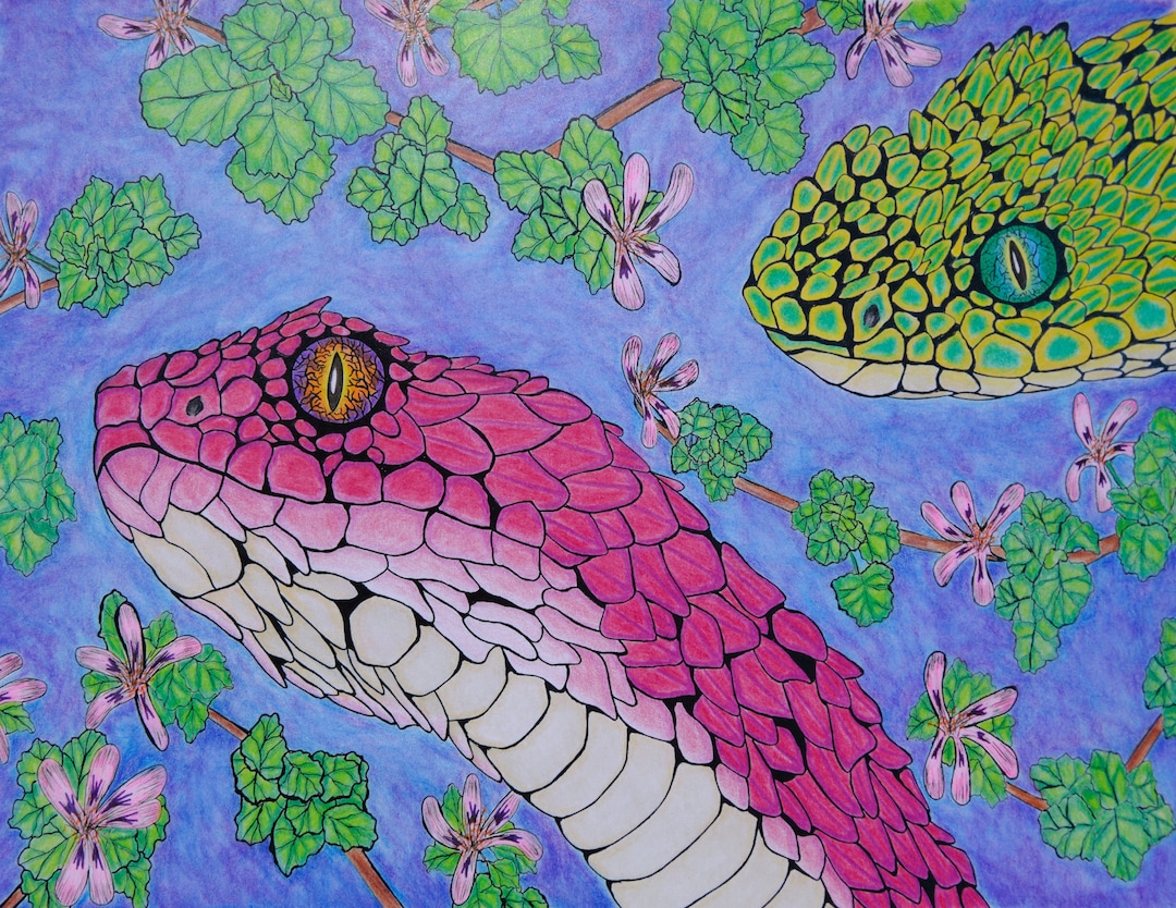 Viper Drawing Fine Art Giclee Print - Etsy