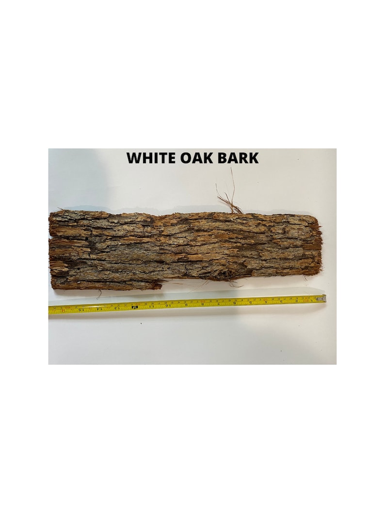 Smoak Firewood's Hardwood Tree Bark for Art Crafts Fairy - Etsy