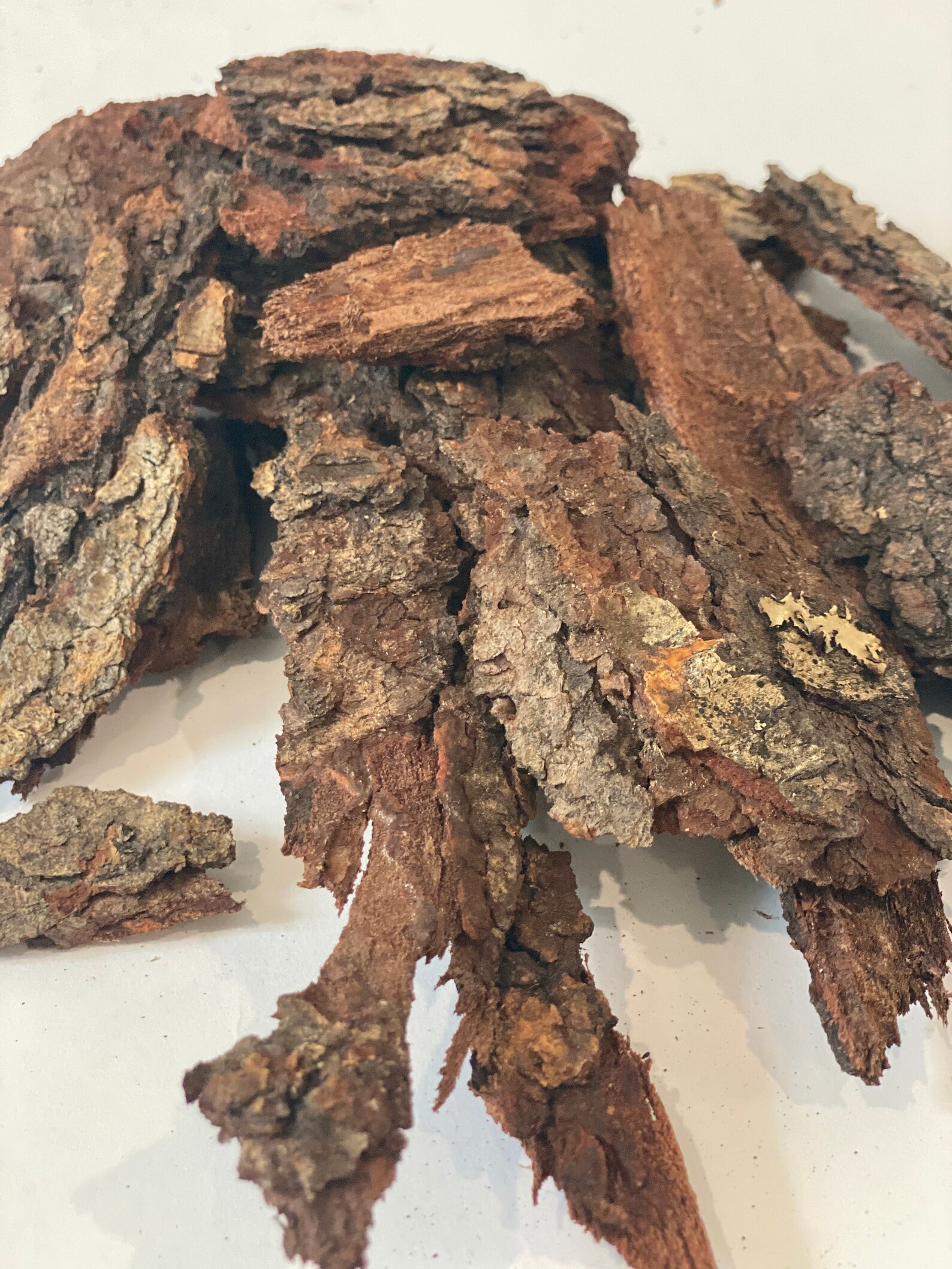Smoak Firewood's Wild Cherry Bark | Organic | Natural | Herbalist ...