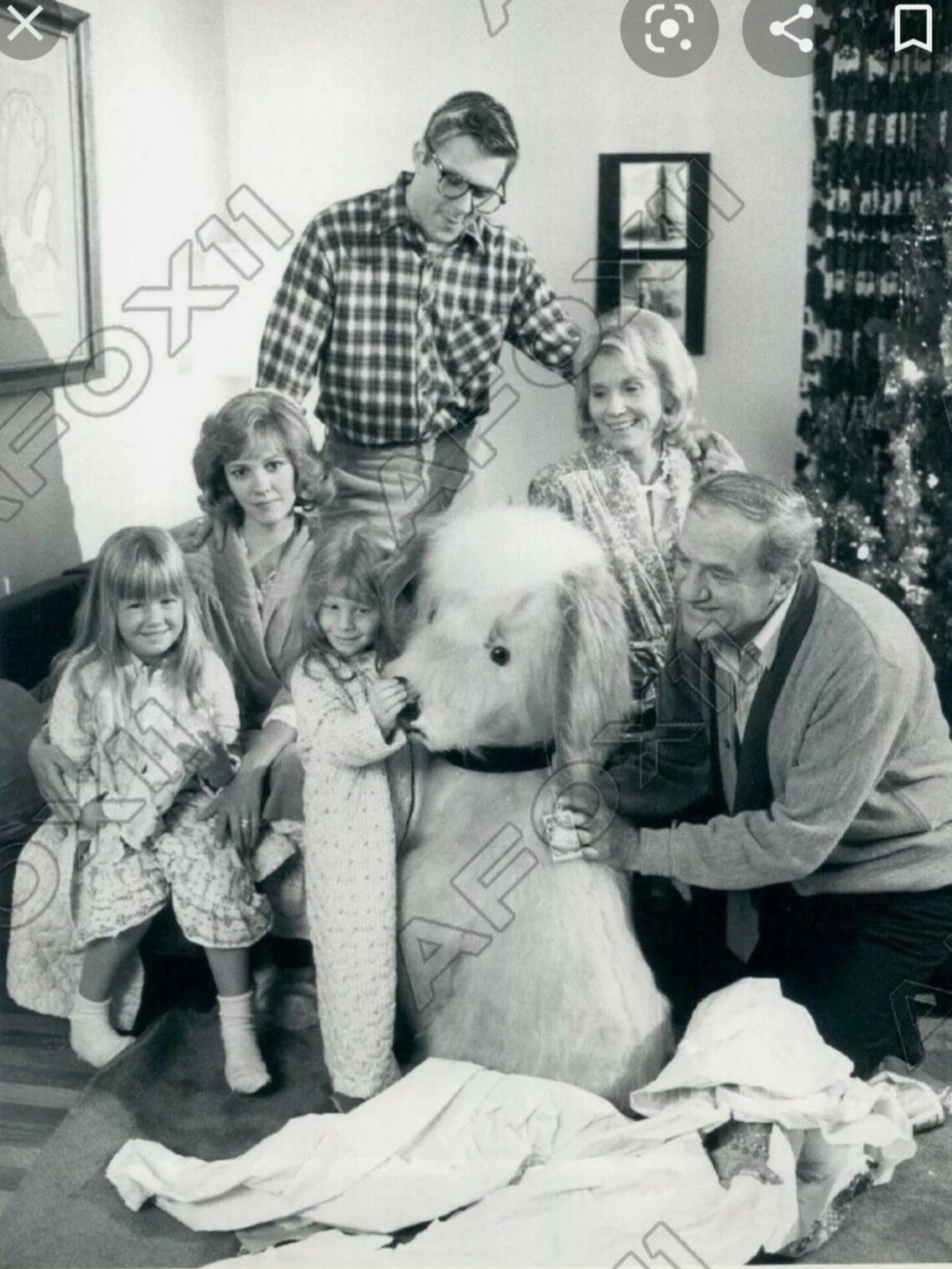 Fatal Vision (part 1 and 2) True Crime Dvd ~gary Cole ~ULTRA RARE - Etsy