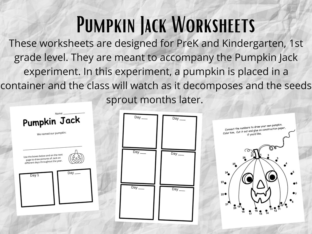 Pumpkin Jack Worksheets for Prek, Kindergarten and First Grade Students ...