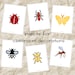 Insects - Science Worksheets for Kids: Color Pages, Counting, Room ...