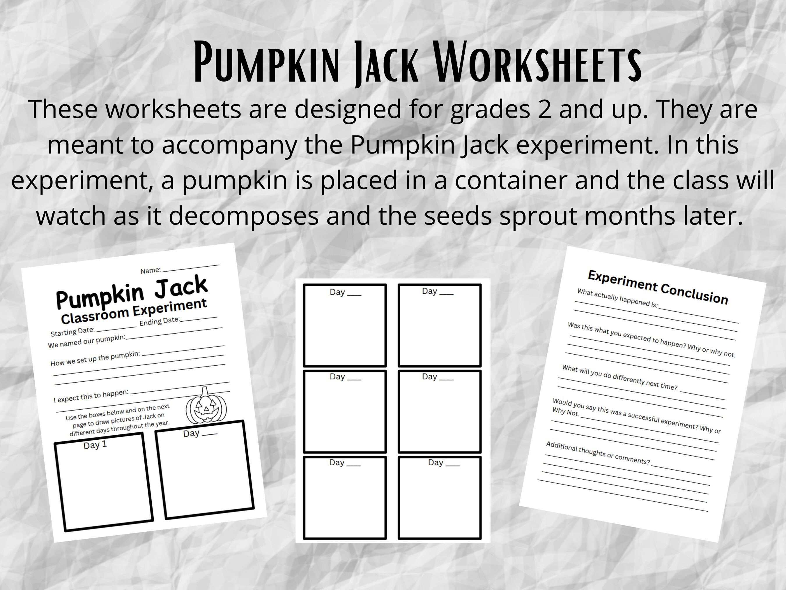 Pumpkin Jack Experiment Worksheets | Elementary Science | Homeschool ...
