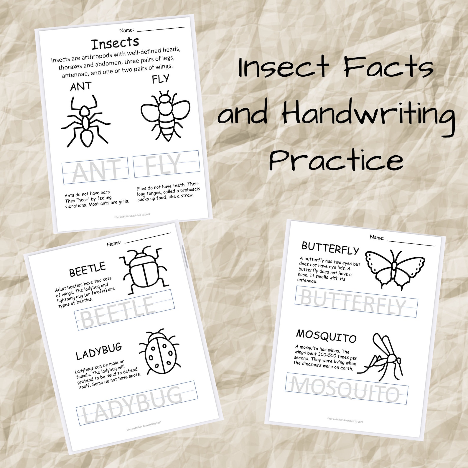 Insects - Science Worksheets for Kids: Color Pages, Counting, Room ...