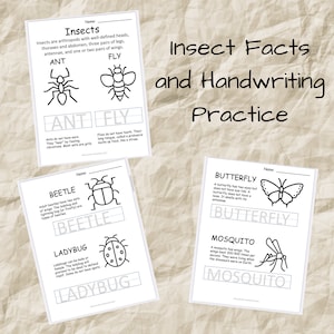 Insects - Science Worksheets for Kids: Color Pages, Counting, Room ...
