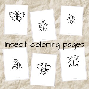 Insects - Science Worksheets for Kids: Color Pages, Counting, Room ...