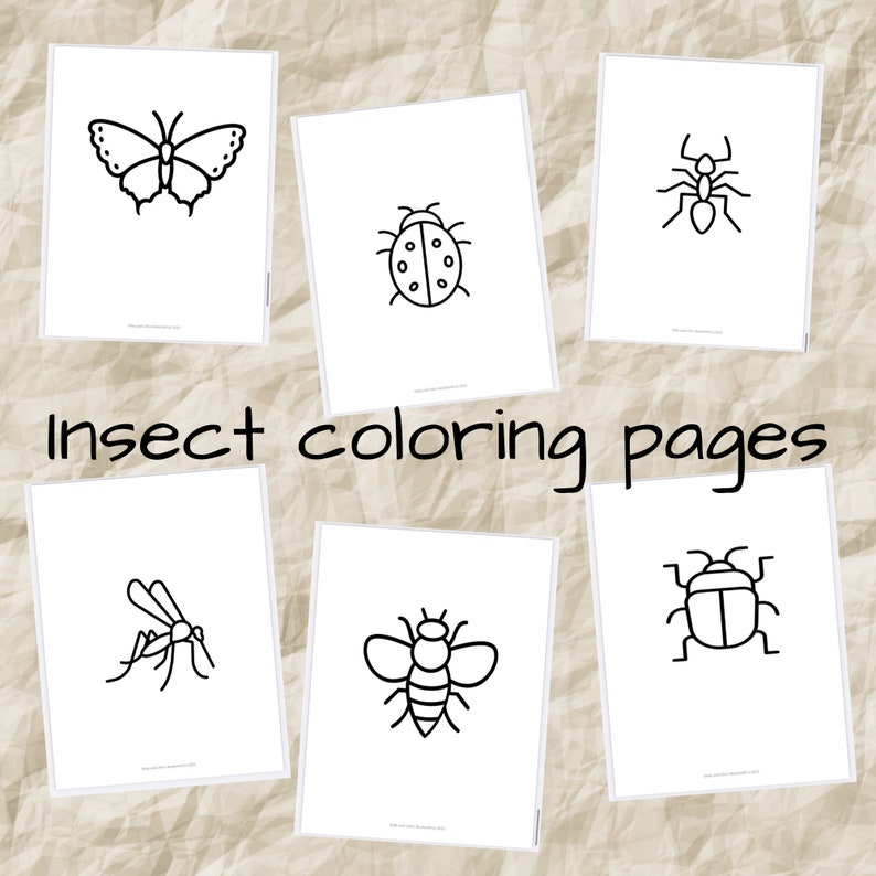 Insects - Science Worksheets for Kids: Color Pages, Counting, Room ...