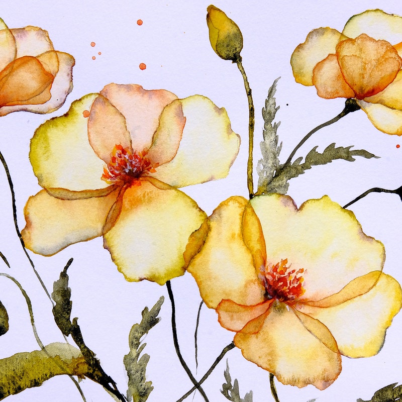 Yellow Poppy Art - Etsy