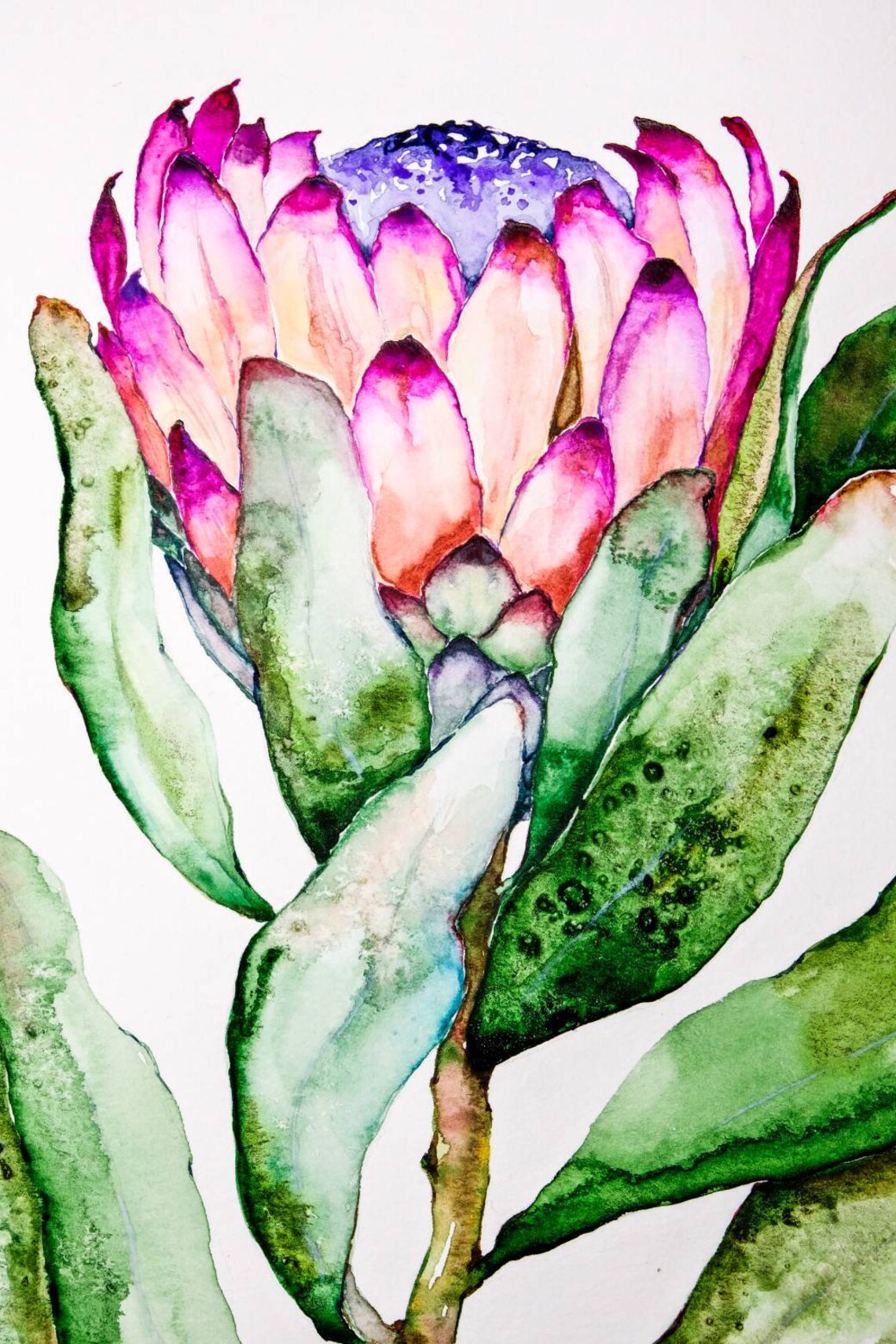 Protea Painting Original Art Flower Painting Watercolor Botanical ...