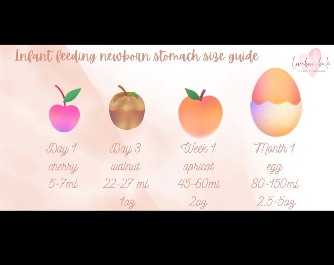 IBCLC Lactation Consultant Baby Tummy Size Guide - Etsy