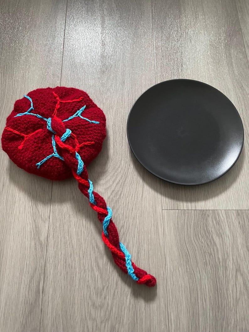 Modelo de anatomía de la placenta - Partera, Doula, Obstetra ...