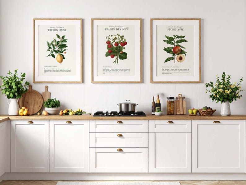 Láminas de cocina con frutas de verano / Juego de giclée botánico ...