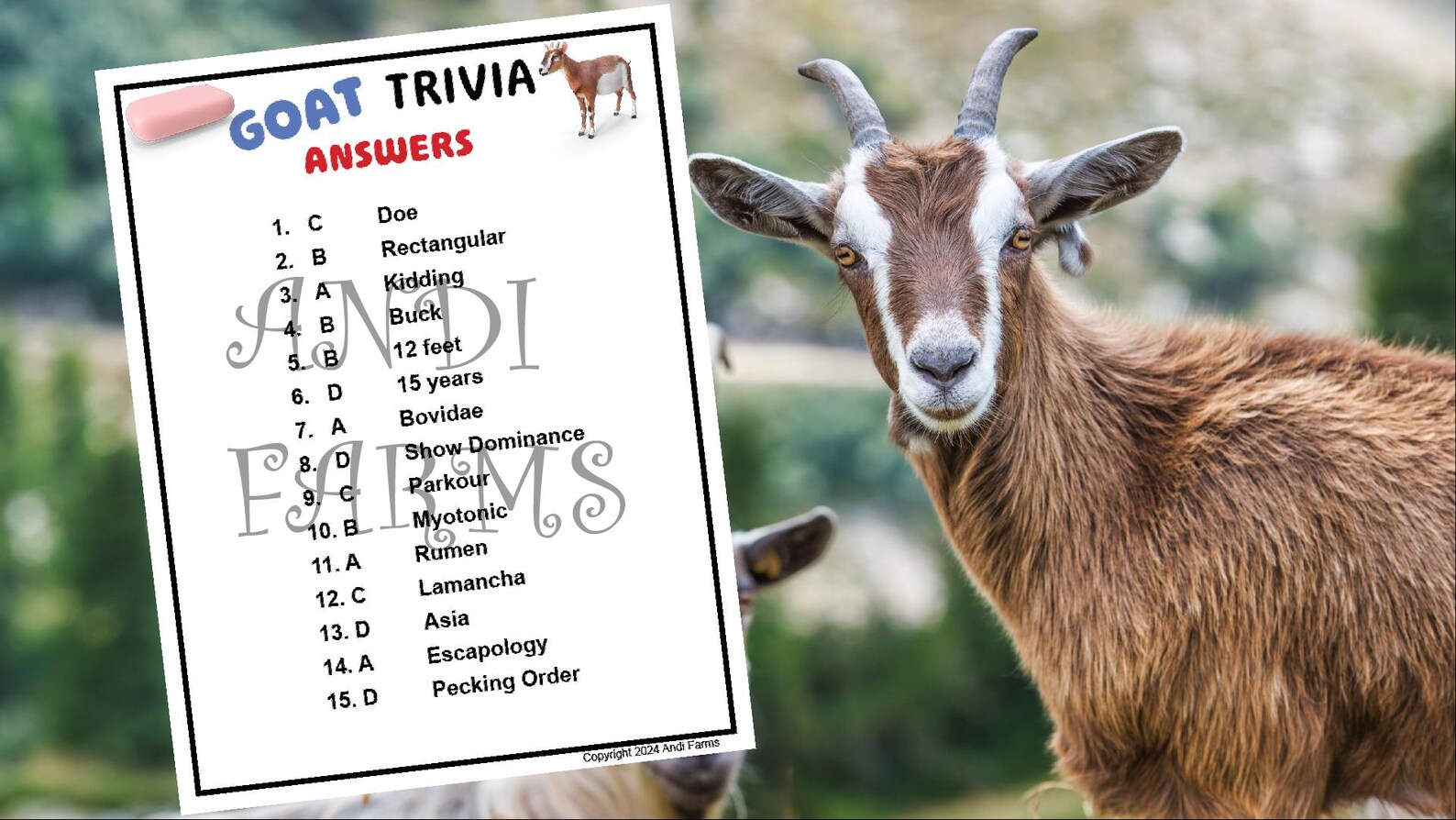 Goat Trivia Game, Homeschool Printables, Office Games, Homeschool ...