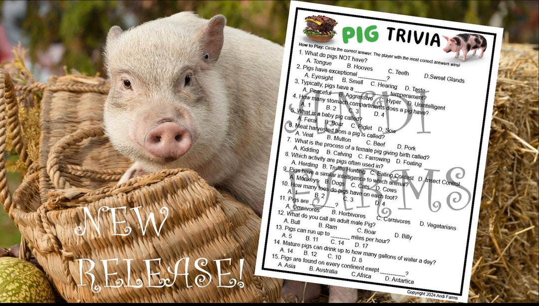 Pig Trivia Game, Homeschool Printables, Office Games, Homeschool ...