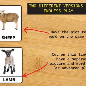 Printable Flash Cards, 25 Farm Animals, Three Part Montessori Cards ...